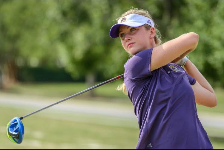 Gallery – Dorthea Forbrigd